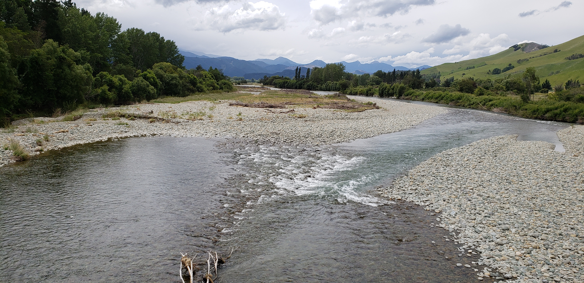 Motueka Catchment Collective