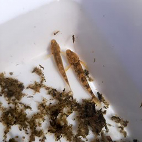 About the Motueka catchment - Motueka Catchment Collective