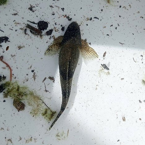 About the Motueka catchment - Motueka Catchment Collective