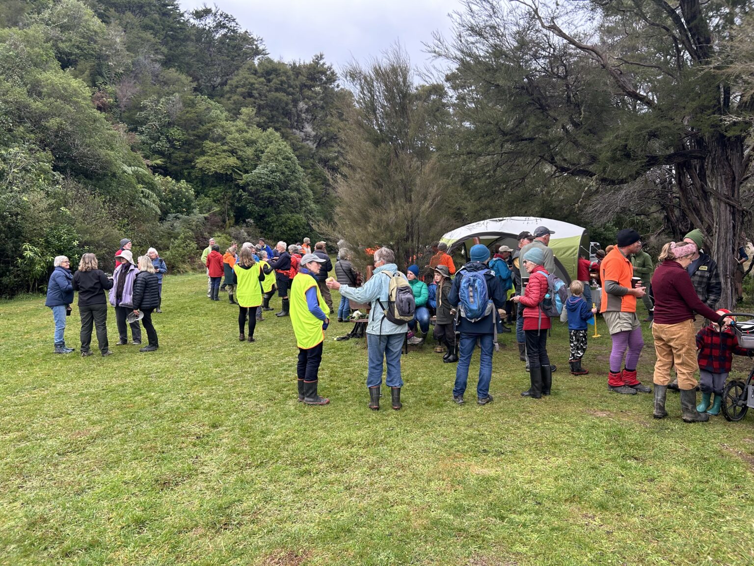 🌱 Honouring Roger Gaskell at Otuwhero Wetland - Motueka Catchment ...