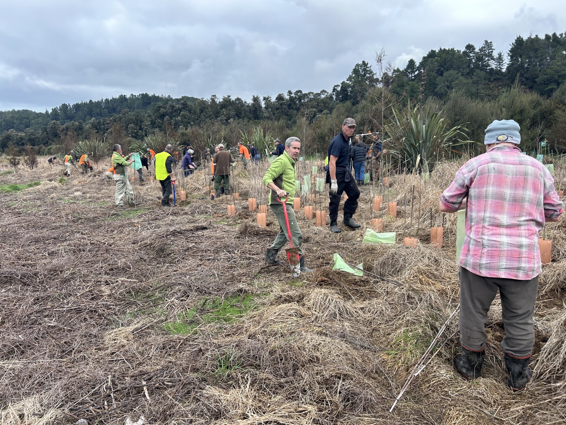 🌱 Honouring Roger Gaskell at Otuwhero Wetland - Motueka Catchment ...